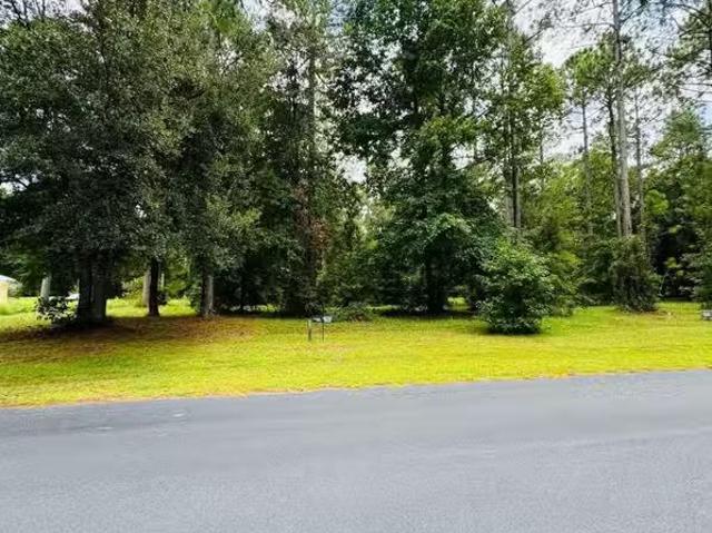 Lot 557 NE Wood Stork Dr, Townsend, GA 31331 MLS 10363445