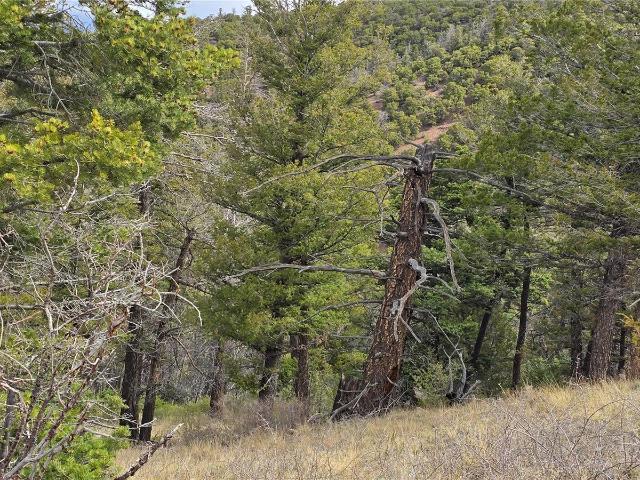 Lot 5505 Balleroy Road