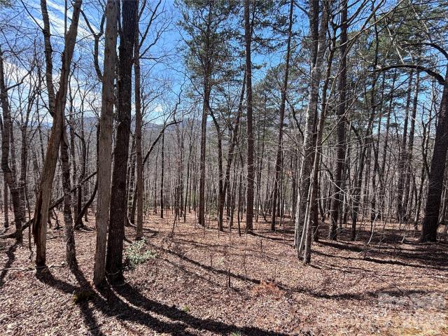 Lot 55 3 Fontana Loop S