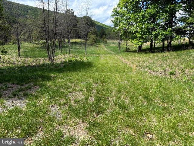 Lot 55 & 56 Sarah Lincoln Dr