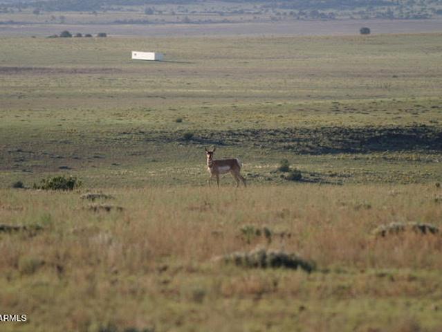 Lot 55 Concho Lakeland, Unit 55, Concho, AZ 85924 | MLS #6905 | Compass