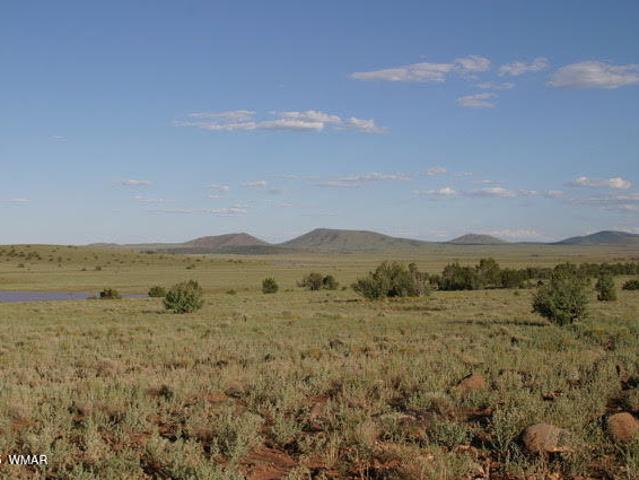 Lot 55 Concho Lakeland