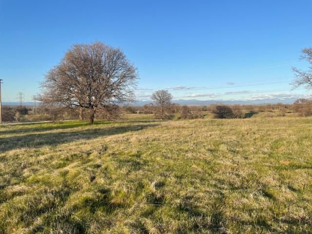 LOT 55 Arlington Park Place