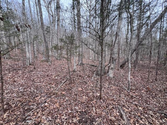Lot 55 Buffalo Cove Ln
