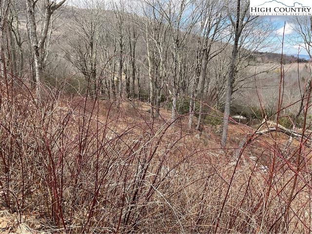 Lot 55 Foxfire Drive