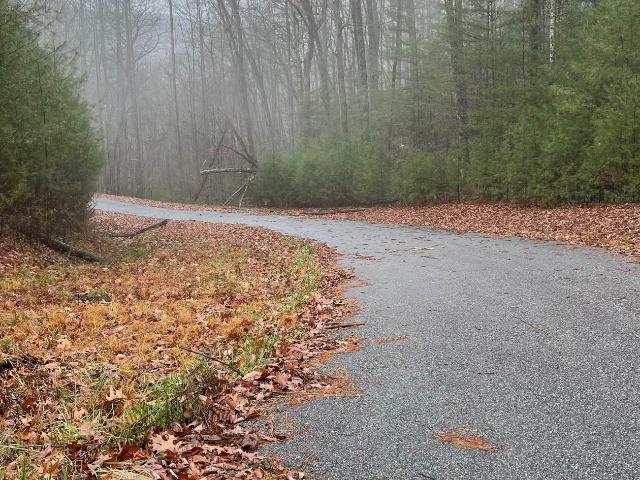 Lot 55 Laurel Trail, Suches, GA 30572 | MLS #419731