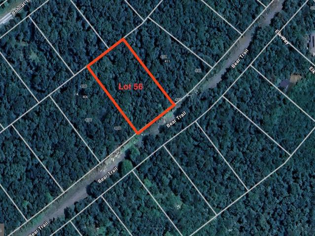 Lot 56 Bear Trail