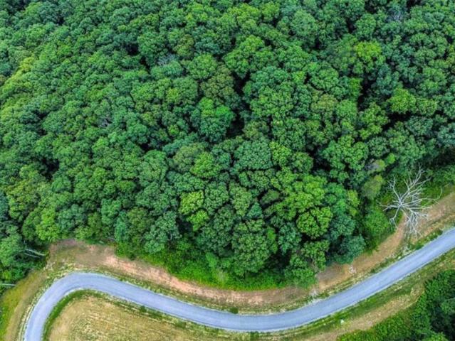 LOT 56 High Summit Drive