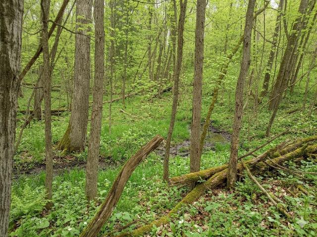 Lot 56 Linksview Way