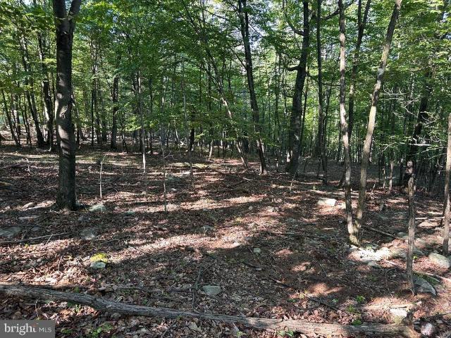 Lot 56 Parkside Drive