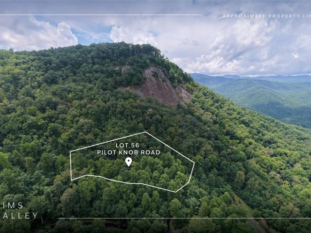 Lot 56 Pilot Knob Road