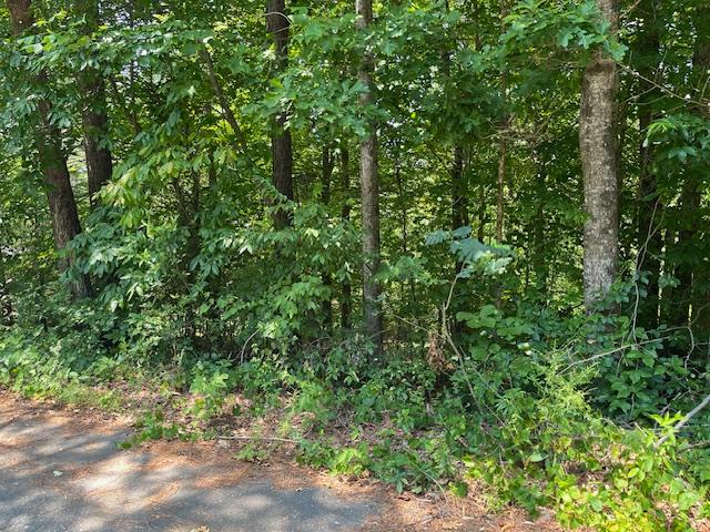 Lot 57 Fox Run Road
