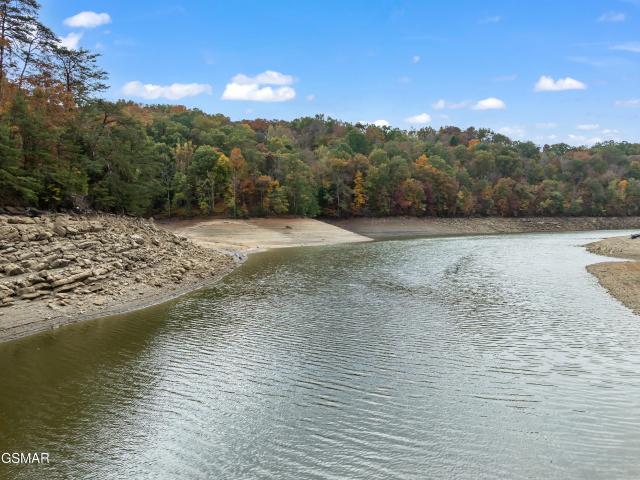 Lot 57 Fork Horn Trail
