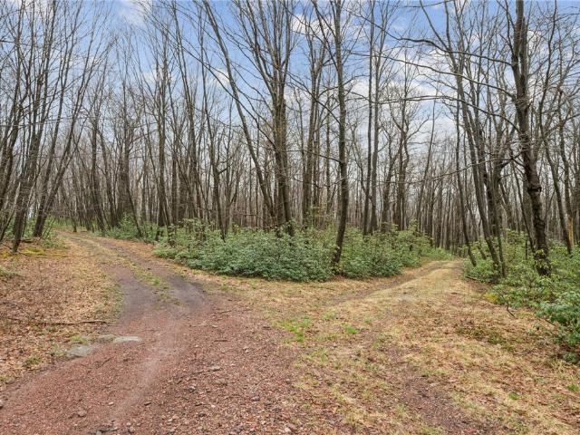 Lot 586 Zermatt Road