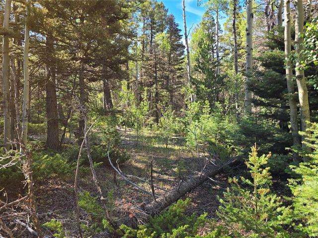 Lot 5816 Balleroy Road