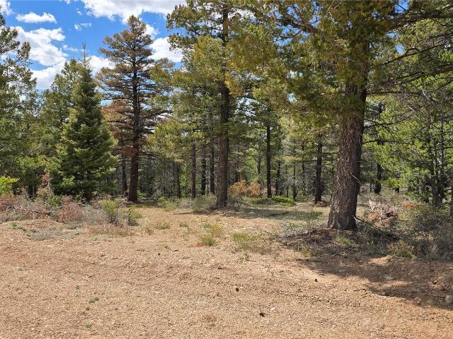 Lot 5825 Covington Road