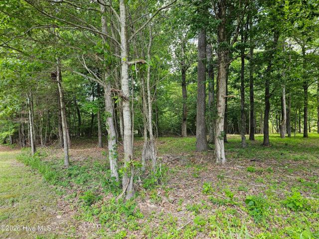 Lot 58 See View Lane # 58
