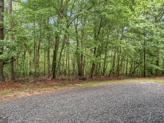 LOT 58 Red Bud Lane
