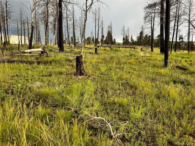 LOT 591 Leslie Loop