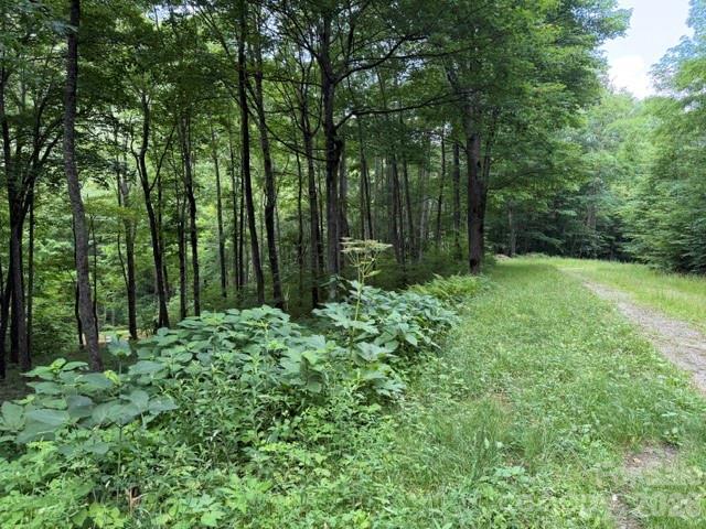 Lot 59 Odalu Trail # 59