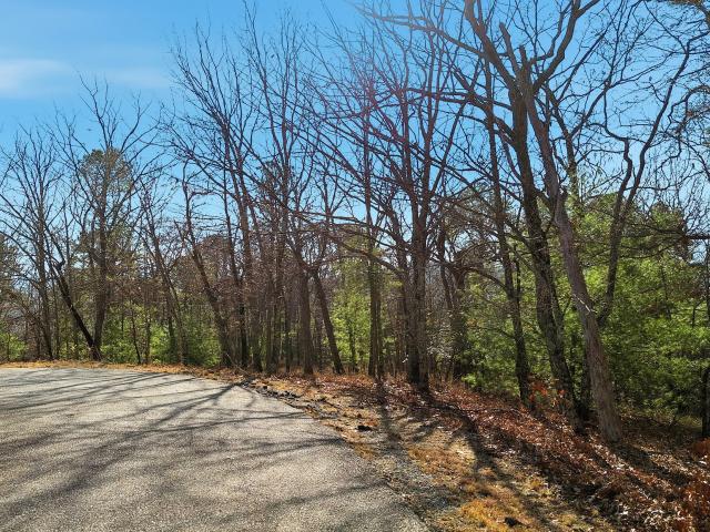 LOT 59 Mountain Sweet Drive