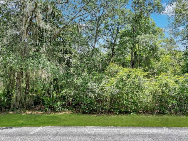Lot 59 St Joseph's Point, Darien, GA 31305 | MLS #20133