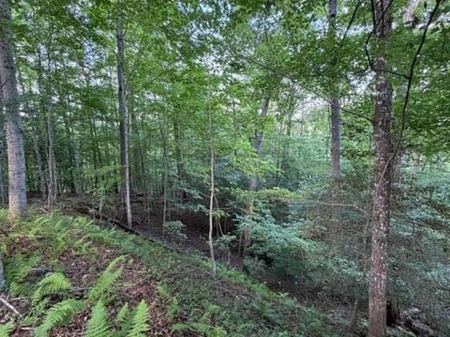 Lot 59 Quiet Mountain Trail