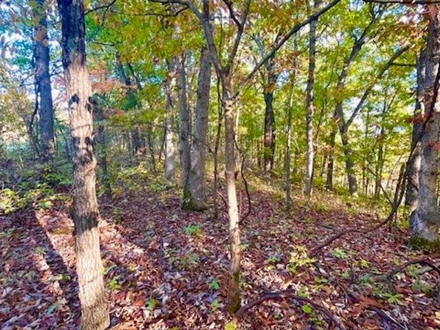 Lot#5&6 Lakewood Lane