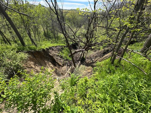 Lot 5 11th S St