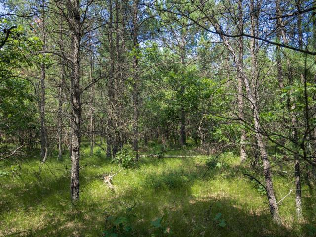Lot 5 17th Street