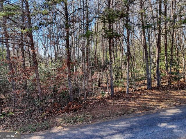LOT 5 Tombstone Drive 5