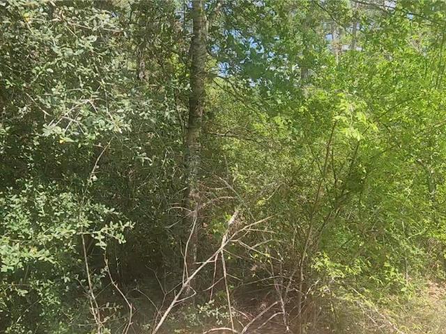 Lot 5 Tupelo Lane