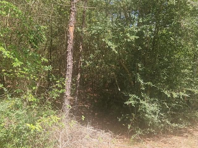 Lot 5 Tupelo Lane