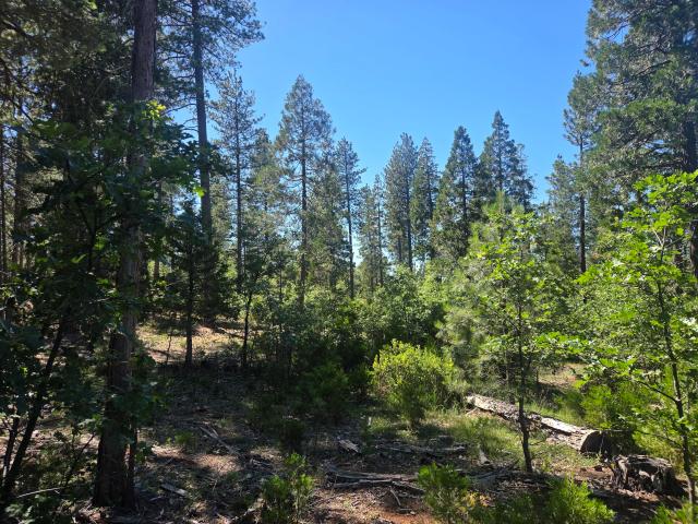 Lot 5 Waterleaf Lane