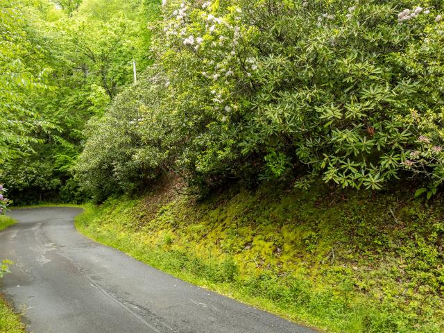 Lot 5 Woods Mountain Trail