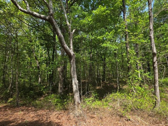 Lot 5 Wolf Pond Road