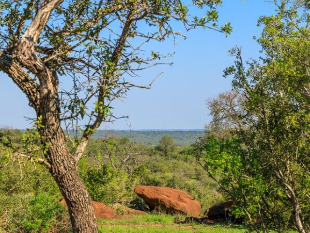 Lot 5 Art Hedwigs Hill Rd, Unit 5, Mason, TX 76856 | MLS #100577