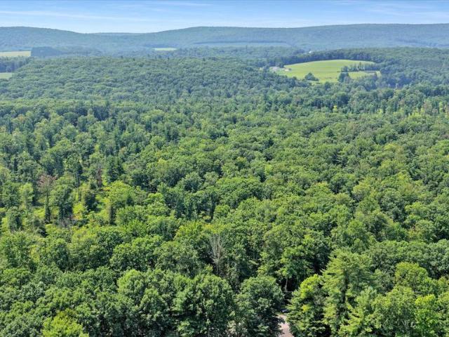 LOT 5 Back Road S