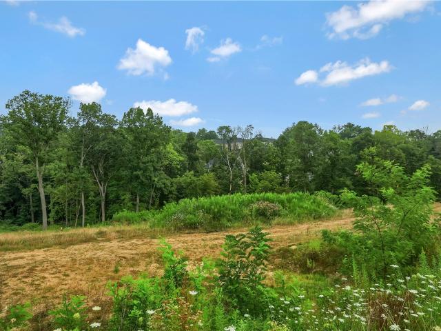 Lot 5 Beaver Grade Road