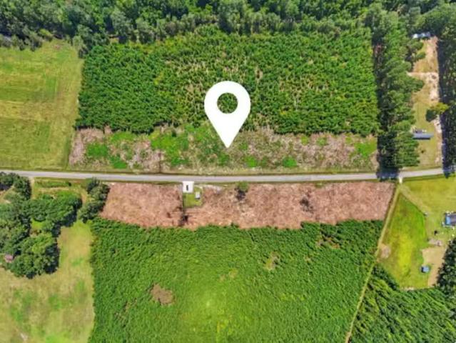 Lot 5 Black Creek Rd, Nichols, SC 29581 MLS 2419811