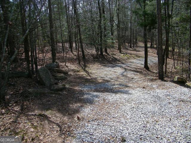 Lot 5 Blackberry Bend, Elberton, GA 30635 | MLS #10477