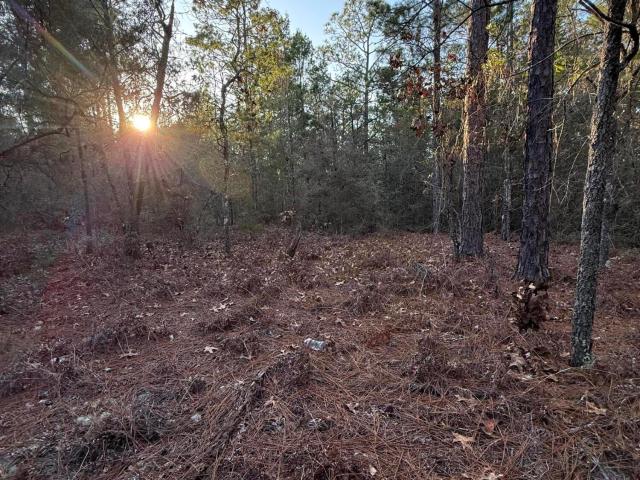 Lot 5 Blk 54 On Forest Ln, DeFuniak Springs, FL 32433 | MLS #995311
