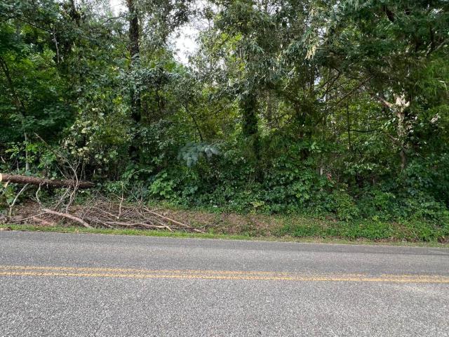 Lot 5 Cameron Road