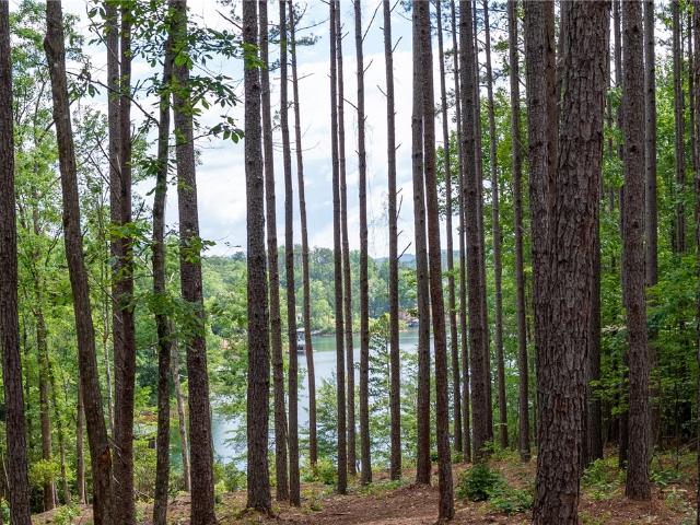Lot 5 Canebrake Estates