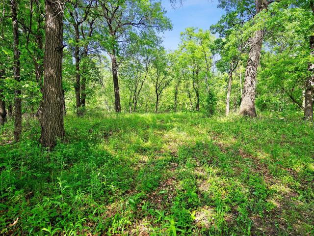 Lot 5 Central Dr NE, Cambridge, MN 55008 | MLS #7114