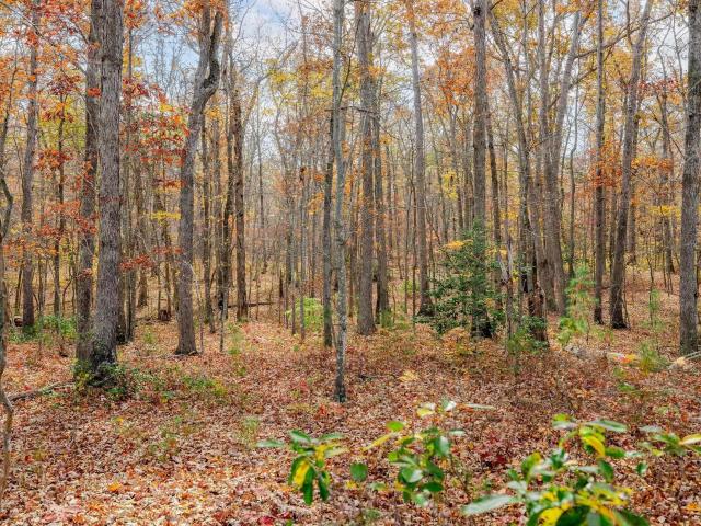 Lot 5 Coles Rolling Rd, Scottsville, VA 24590 | MLS #671782