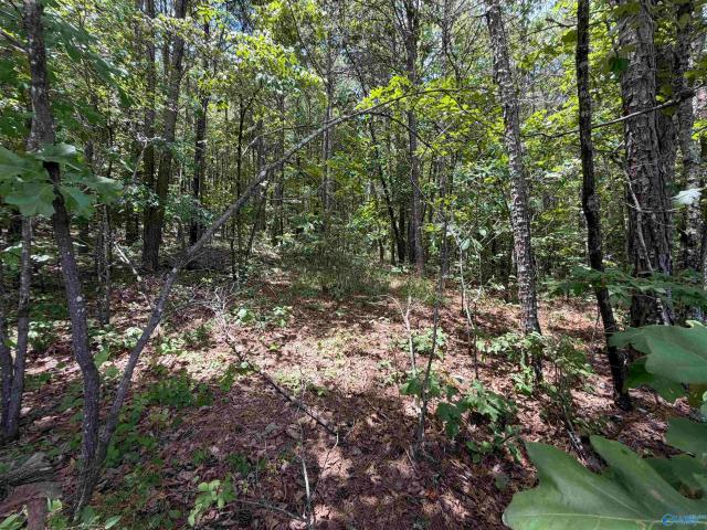 LOT 5 County Road 592