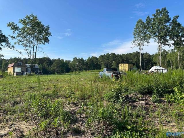 Lot 5 County Road 79