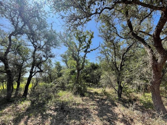 Lot 5 County Road 14