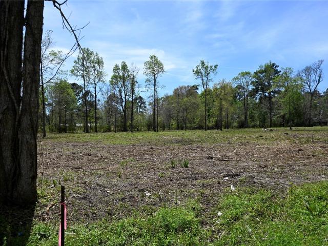 Lot 5 County Road 2360, Liberty, TX 77575 | MLS #36713